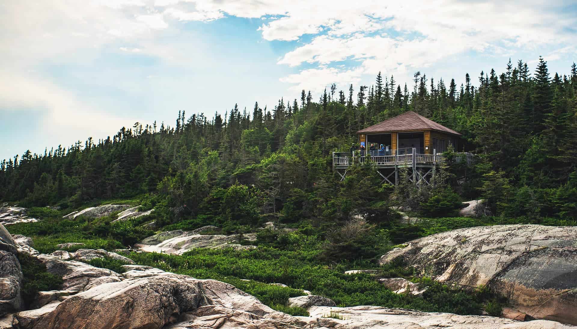 Crafting Heritage: Reshaping Trees for Traditional Wood Inlay with ...